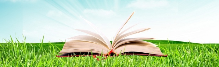 Home Page - Undergraduate Advising Office - Mendoza College of Business ...